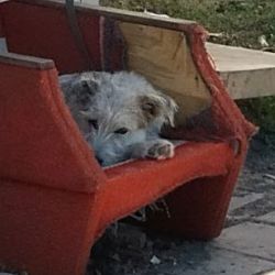 Иконка канала IvanCherednikov