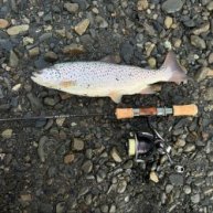 Иконка канала Kavkaz Trout