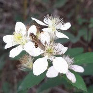 Иконка канала ЖИВОЙ МИР