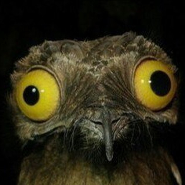 Иконка канала Reily Red