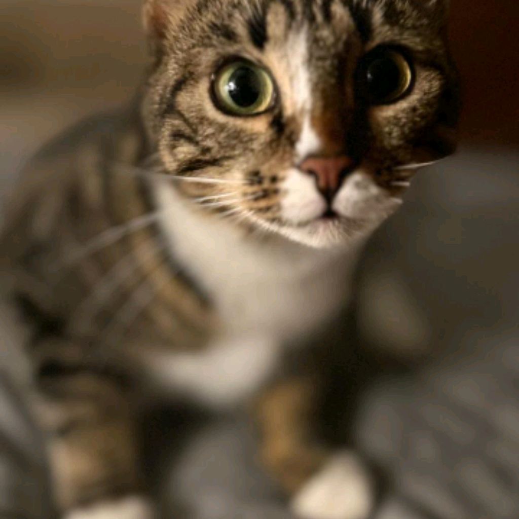 Иконка канала AktivLive