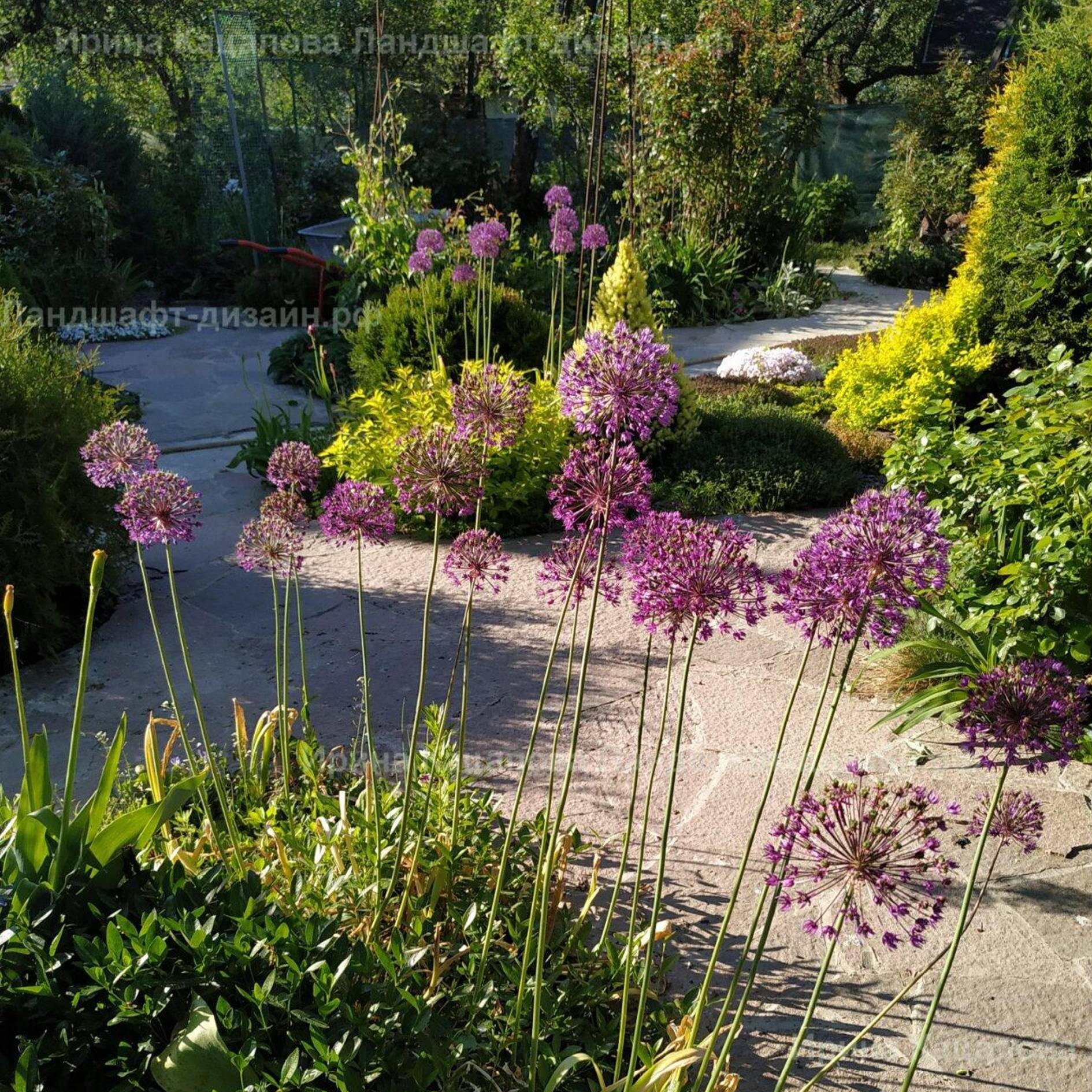 Иконка канала Ландшафтный дизайн от Ирины Кацаповой