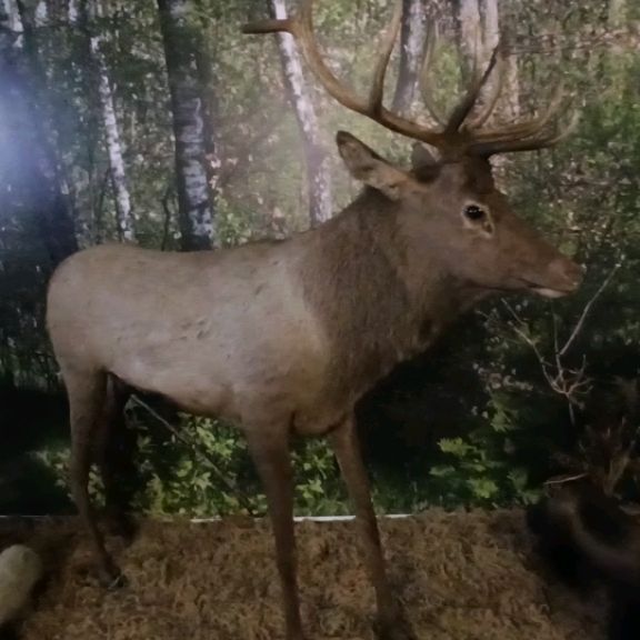 Иконка канала Илья