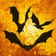 Иконка канала Страхи Шоу