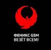 Иконка канала ФЕНИКС САЛЬСК ( GSM SERVICE )