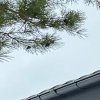 Иконка канала Строим дачу 2024