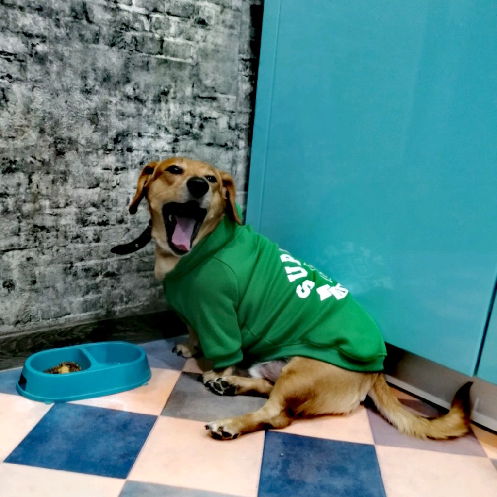 Иконка канала Все про петарды