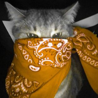 Иконка канала МИНИ БРО