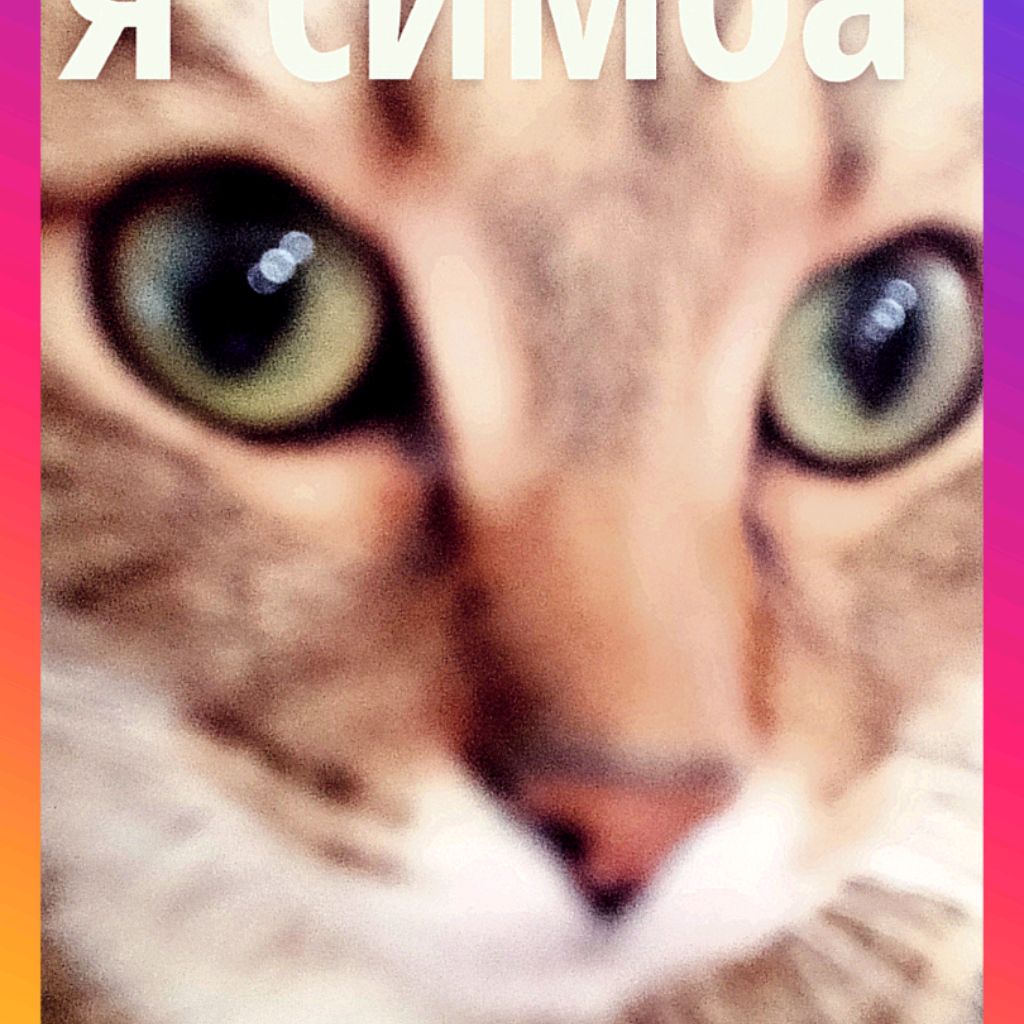 Иконка канала Неймир ж (на рутуб)