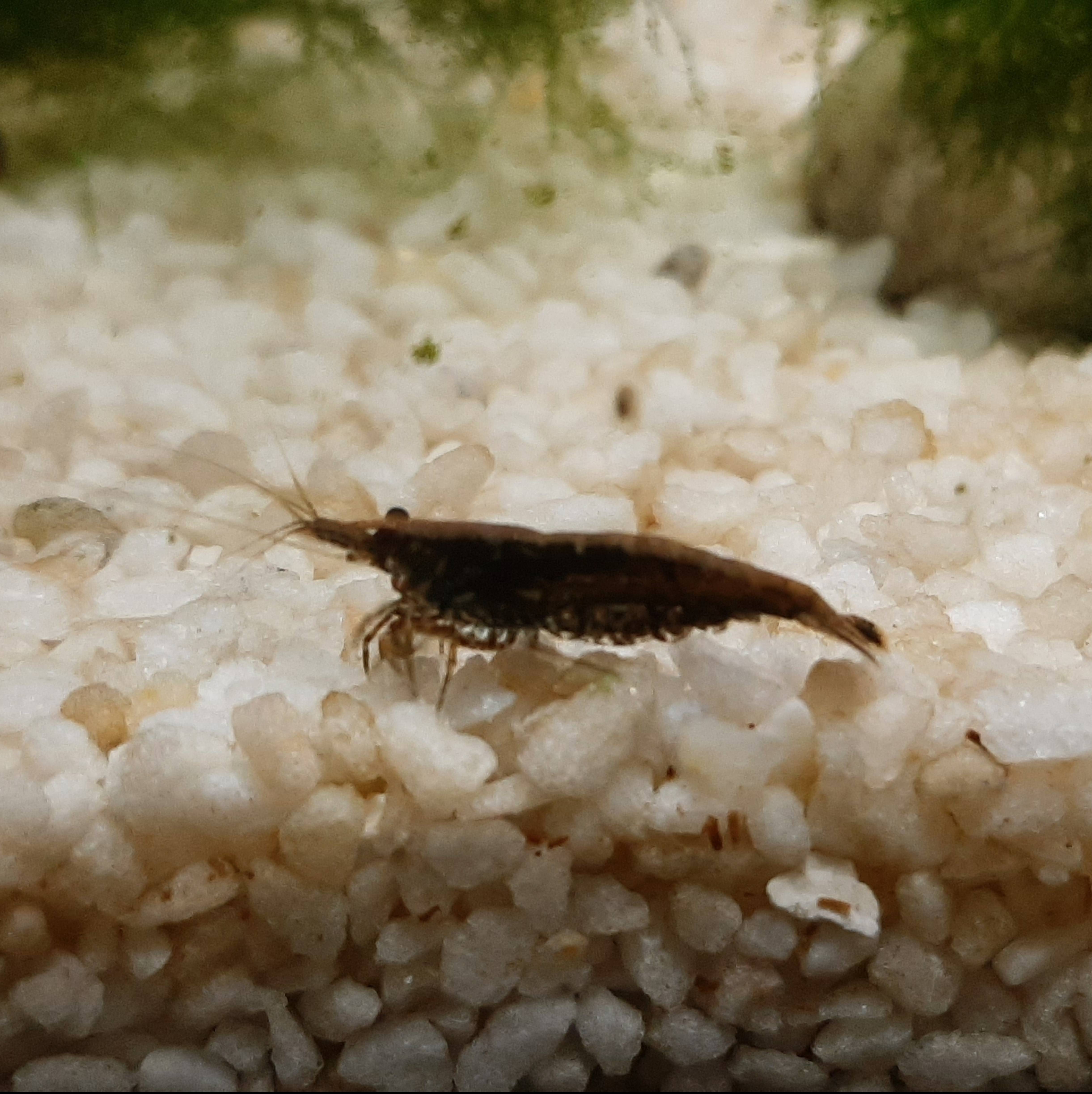 Иконка канала Жизнь в 15 литрах