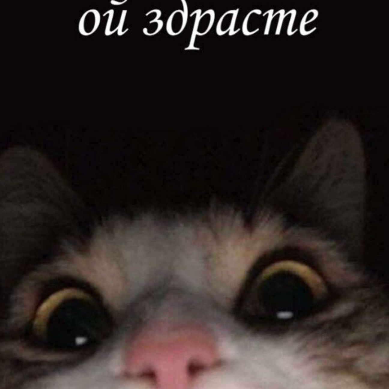 Иконка канала happybyra