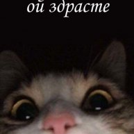 Иконка канала happybyra