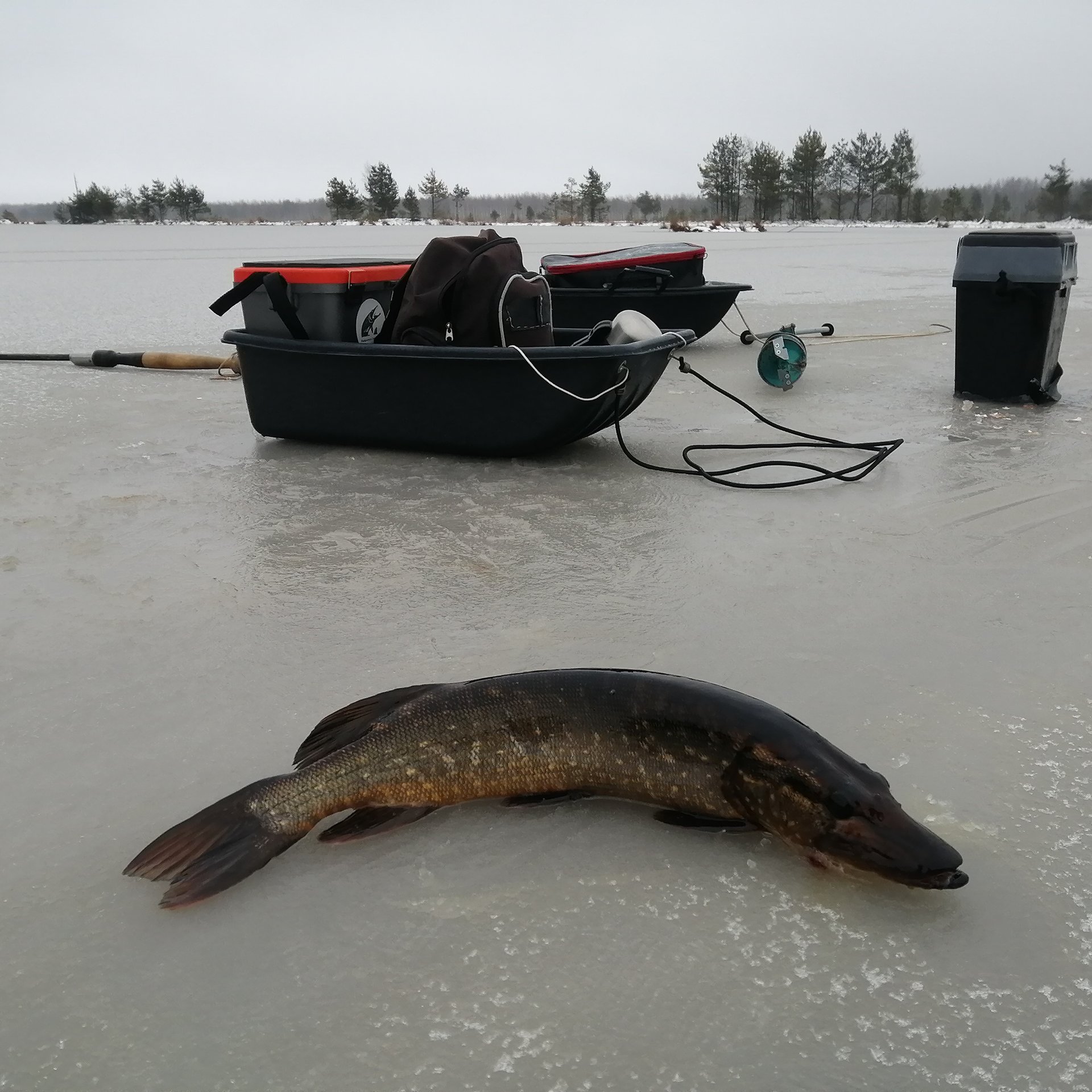 Иконка канала Рыбалка Рыбинск