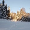Иконка канала Рыбалка в 13 лет