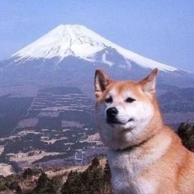 Иконка канала Neon