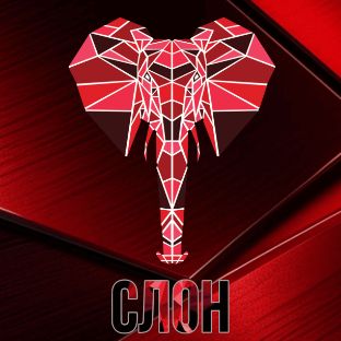 Иконка канала slonproperty.com