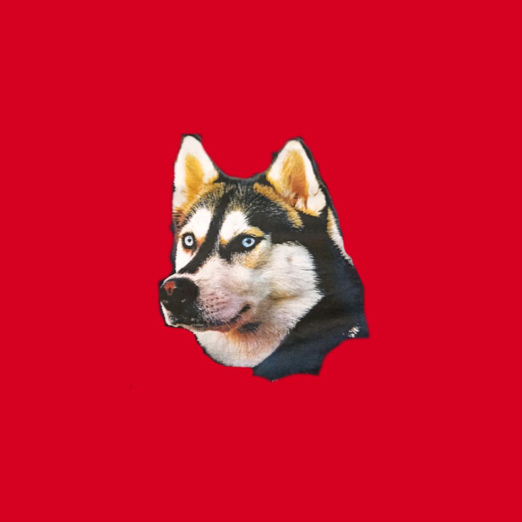 Иконка канала Domentos