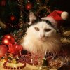 Иконка канала Vel175127157125