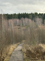 Иконка канала Будущее с энергиями🐝🐝🐝