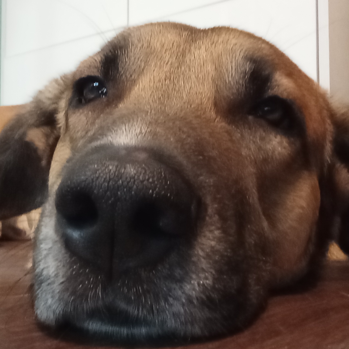 Иконка канала ВЕСЁЛЫЕ ПРИКЛЮЧЕНИЯ - СТУДИЯ ПРОИЗВОДСТВА