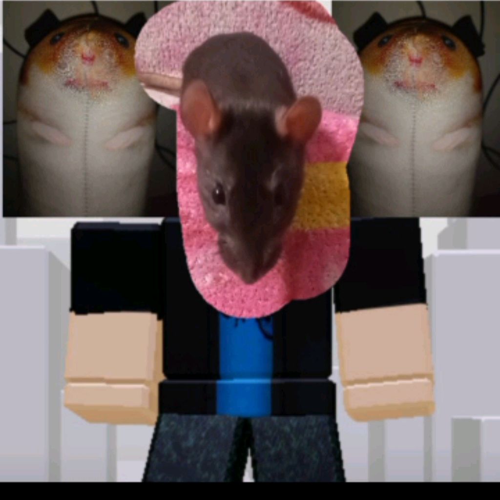 Иконка канала vitya hamster