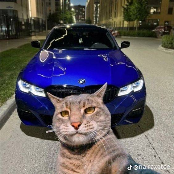 Иконка канала argus1k