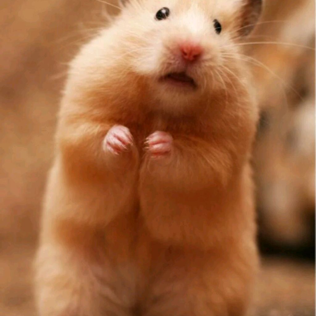 Иконка канала Danil Games Profus