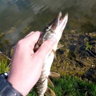 Иконка канала Рыбалка есть Рыбалка