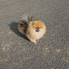 Иконка канала Дневники Джолли Анджелины