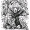 Иконка канала Шаим