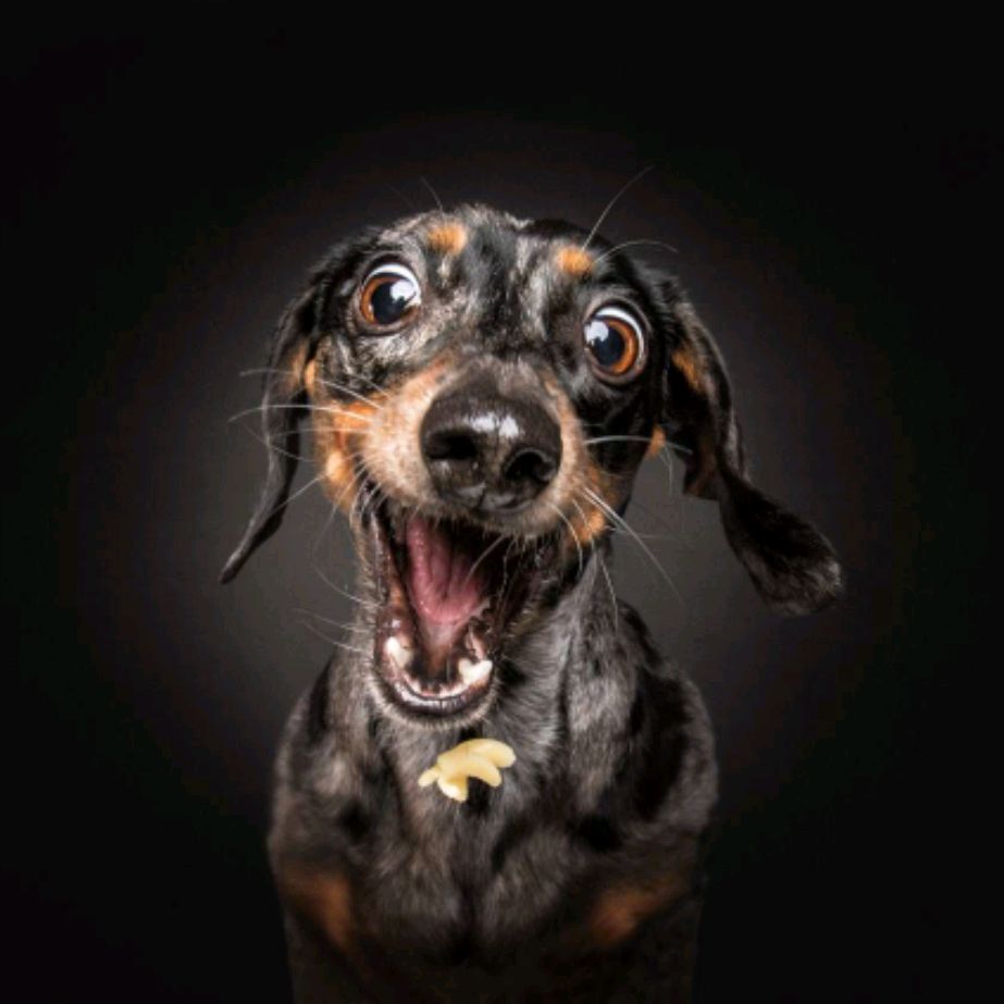 Иконка канала Скорость Настроения!!!