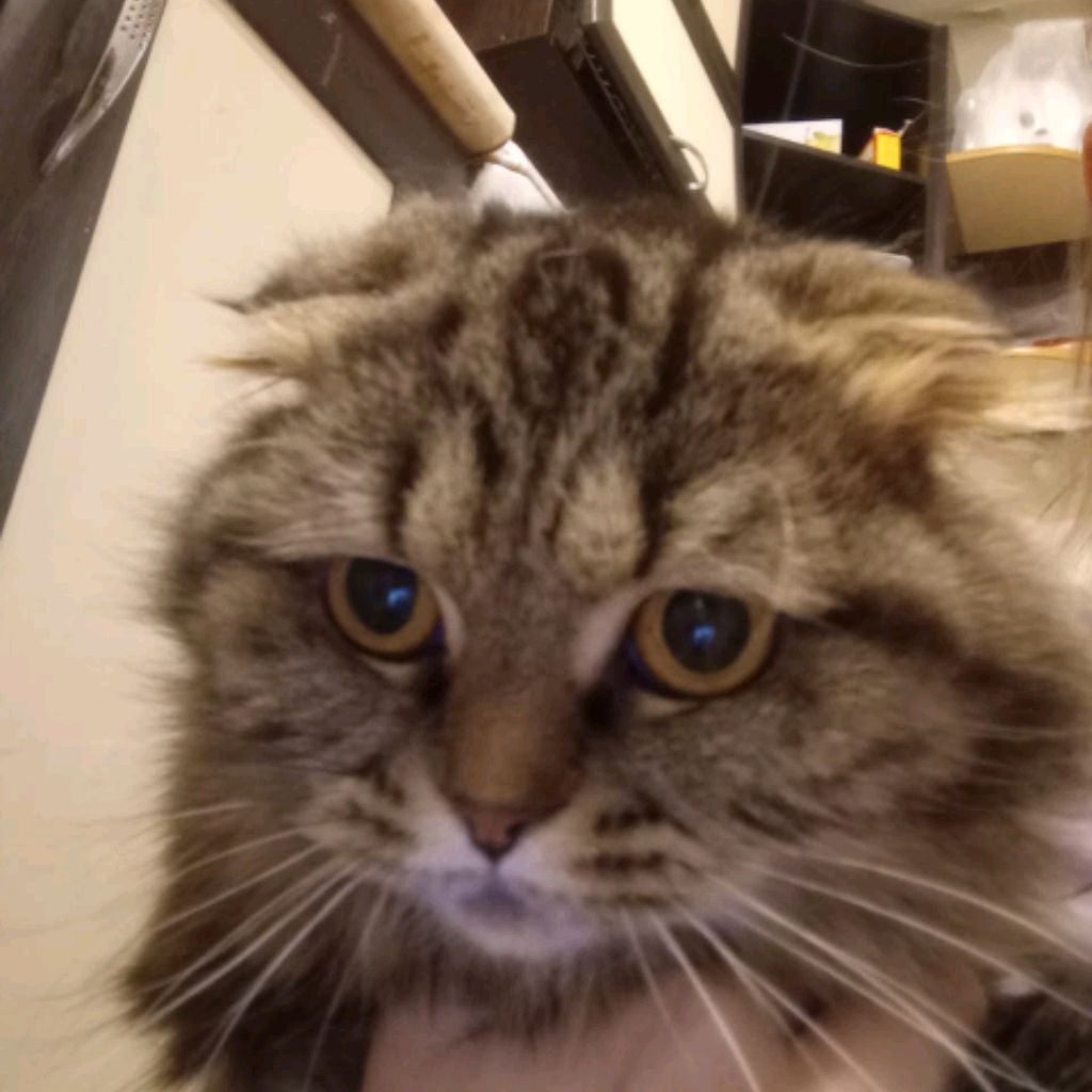 Иконка канала Витал