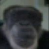 Иконка канала channel32713867