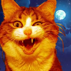 Иконка канала RED CAT