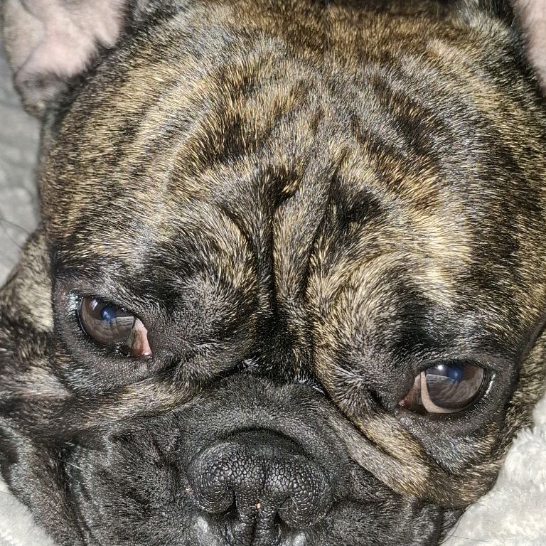 Иконка канала Marsel27012023