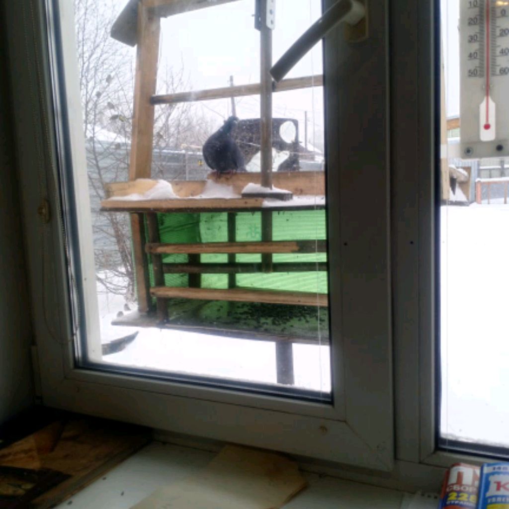 Иконка канала Сизари и Дикари