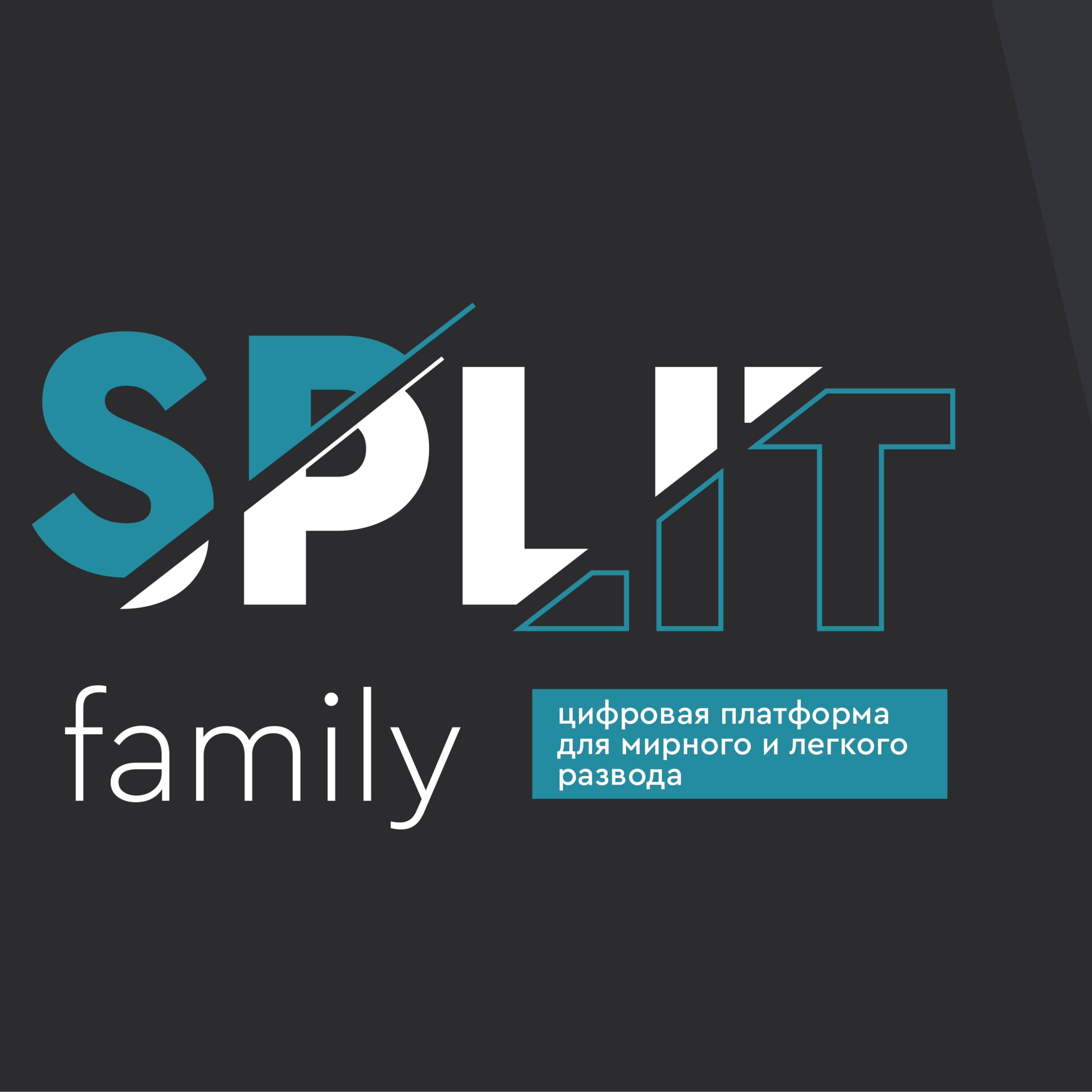 Иконка канала СПЛИТФАМЕЛИ Шпагина Людмила