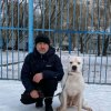 Иконка канала Кинолог.Дрессировка собак, коррекция . УГС. ОКД.