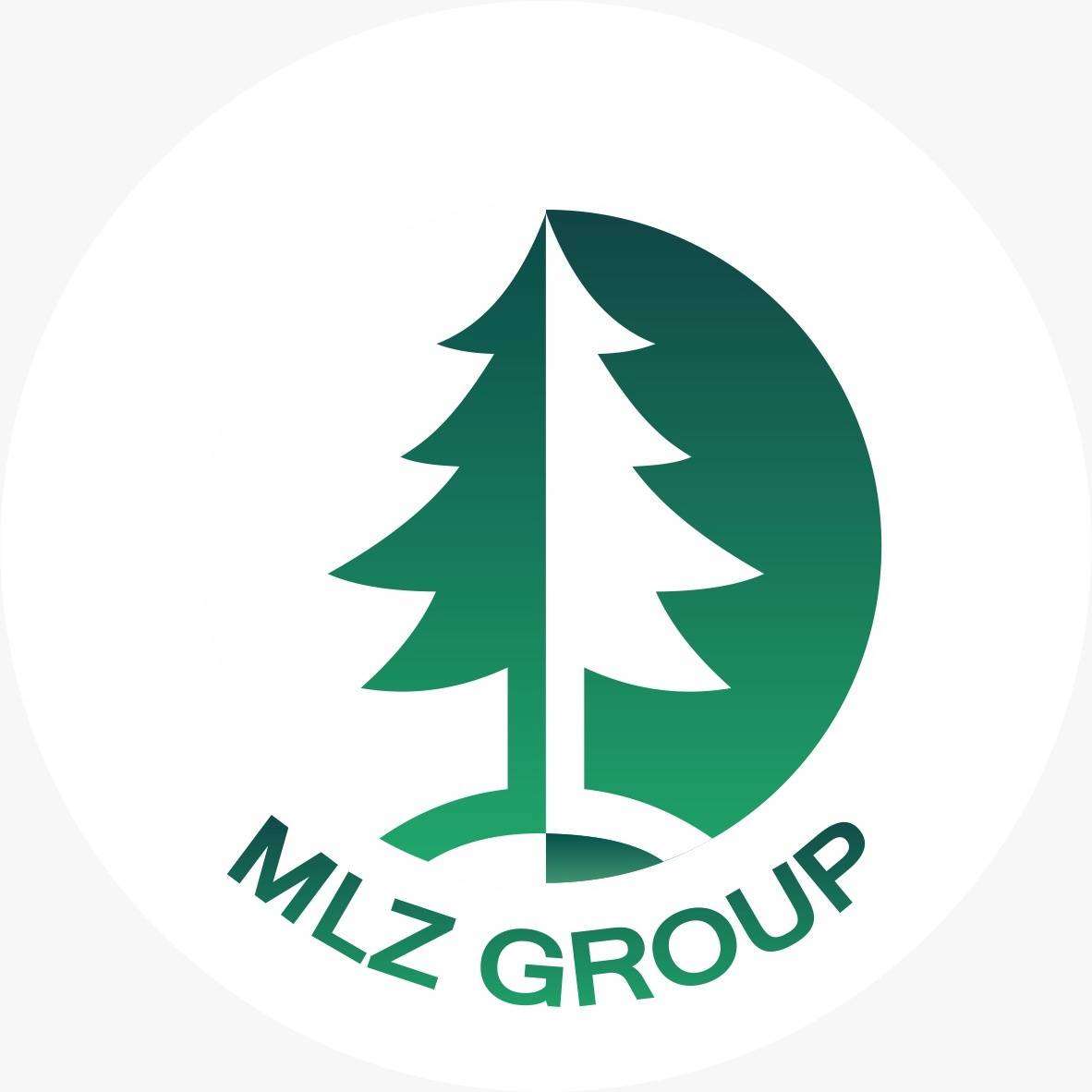 Иконка канала MLZ GROUP