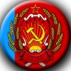 Иконка канала Рожденный в РСФСР