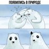 Иконка канала @Siberian_brown_bear