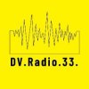 Иконка канала DV.Radio.33.