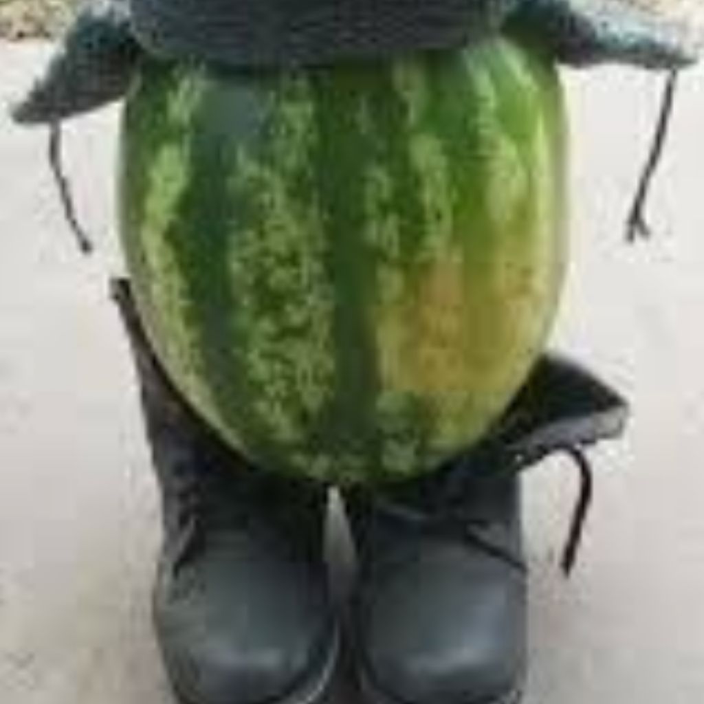 Иконка канала TESS