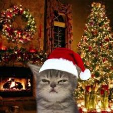 Иконка канала channel50402950