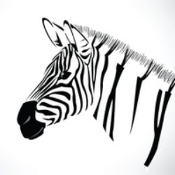 Иконка канала Zebra-Video