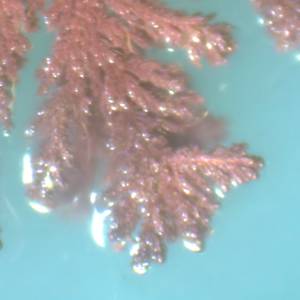 Иконка канала Лаборатория реального мира