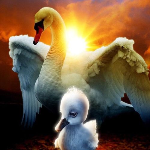 Иконка канала Fobik