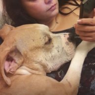 Иконка канала Истории женщины и собак