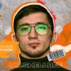Иконка канала Mr.shellbee