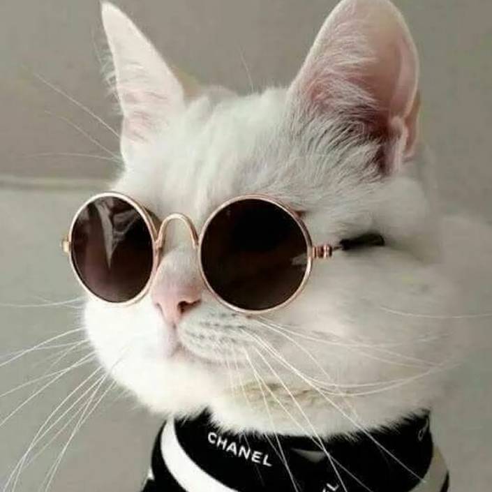 Иконка канала Сабина❤